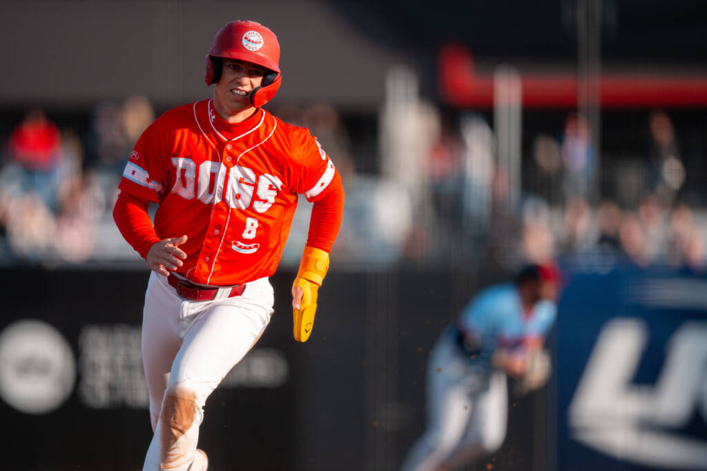 Pitching and the longball lead to another Dogs win - The Chicago Dogs